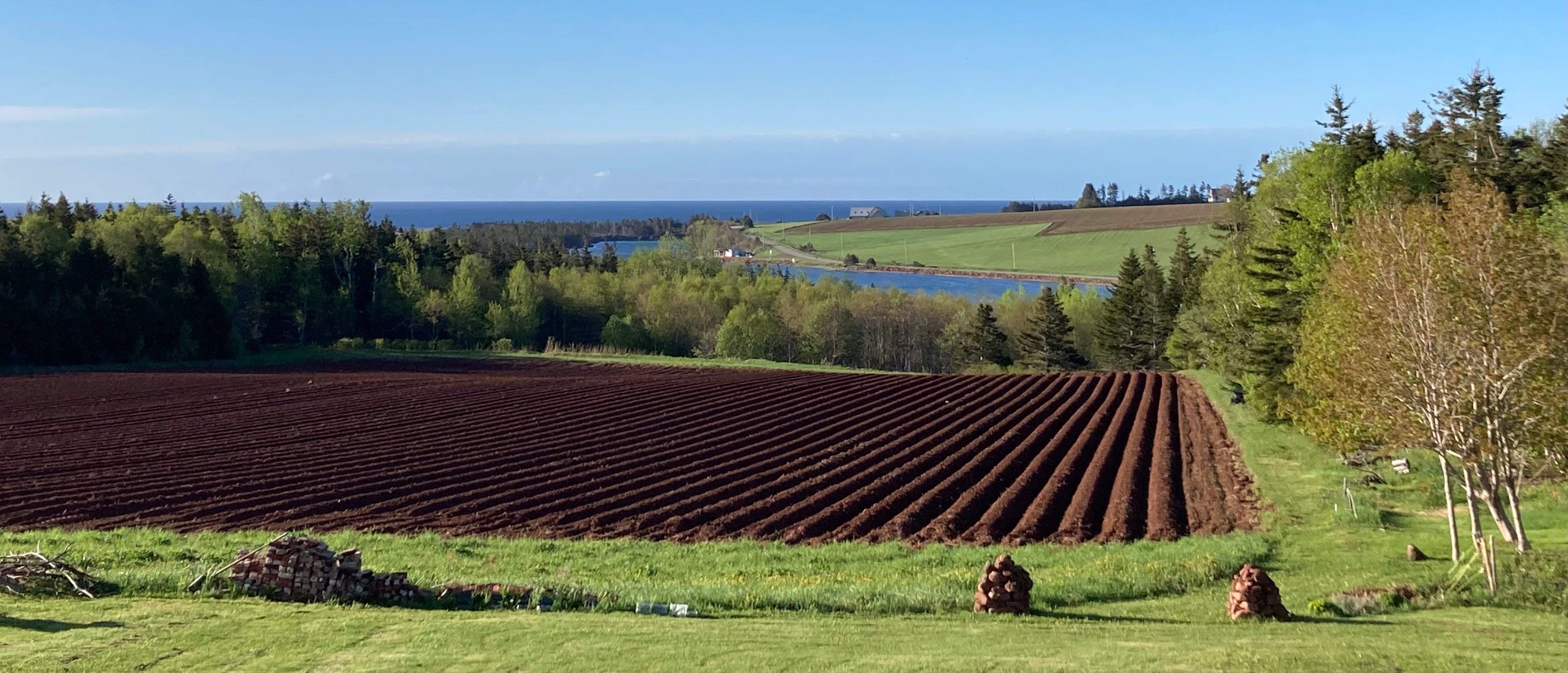 The Bunker by Basin Head Beach | Tourism PEI