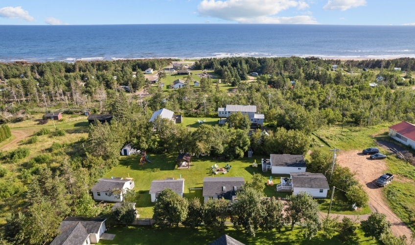 Beach Trees | Tourism PEI