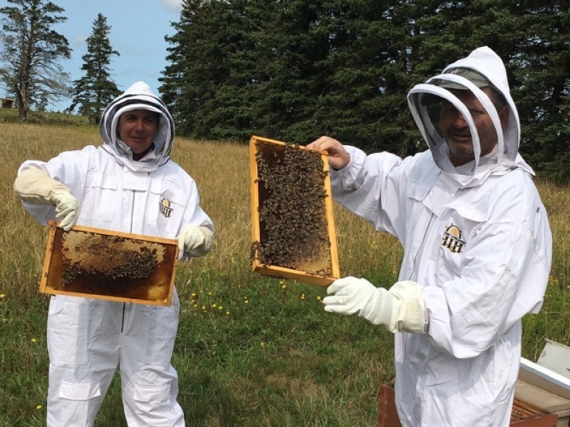 Nature & Outdoors | Tourism PEI