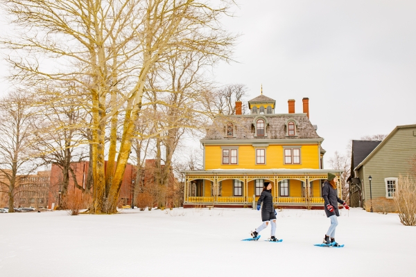 Winter on Prince Edward Island | Tourism PEI